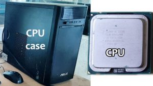 Components of a CPU | 10-different parts of a computer CPU - Your10